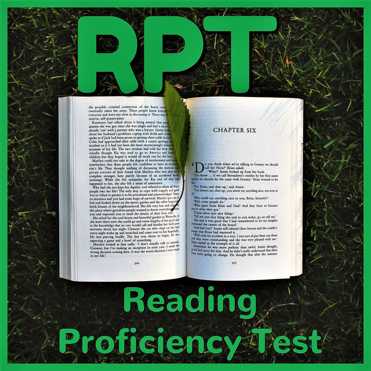 Oral Proficiency Interview OPI vs DELE diploma